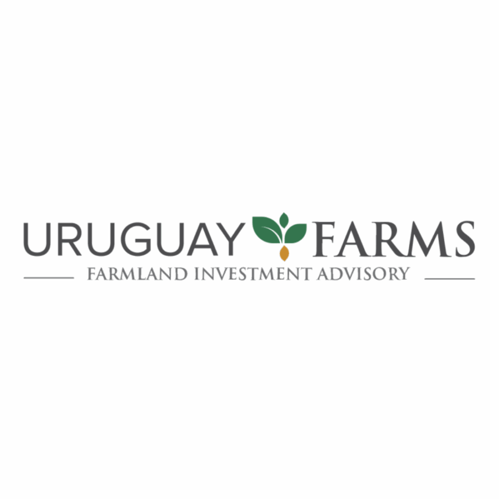 Income Factory | Inicio
